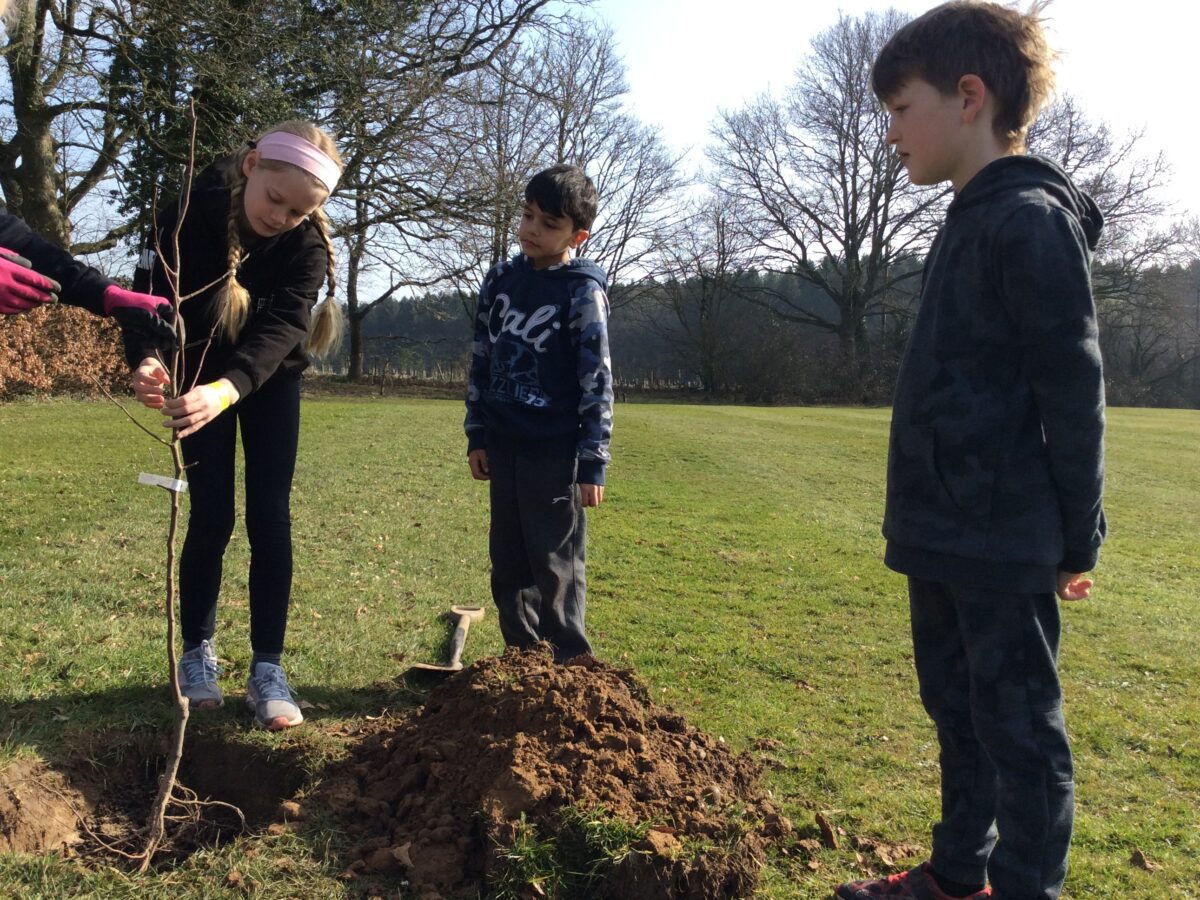Fruit Tree Planting - St Katharine's Primary School